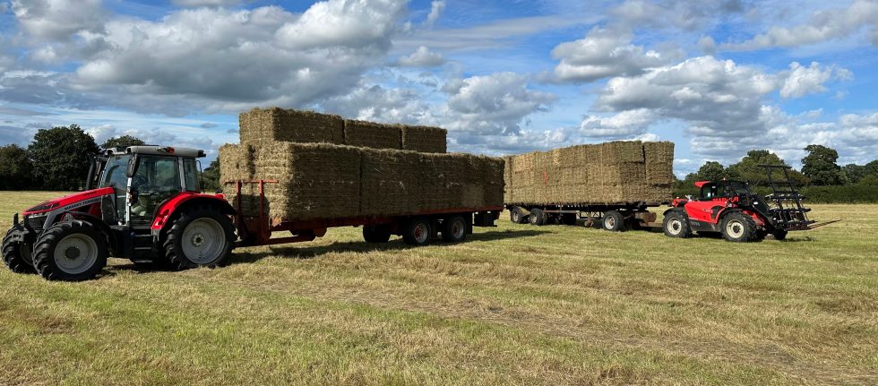 About Us | Scrase Farms